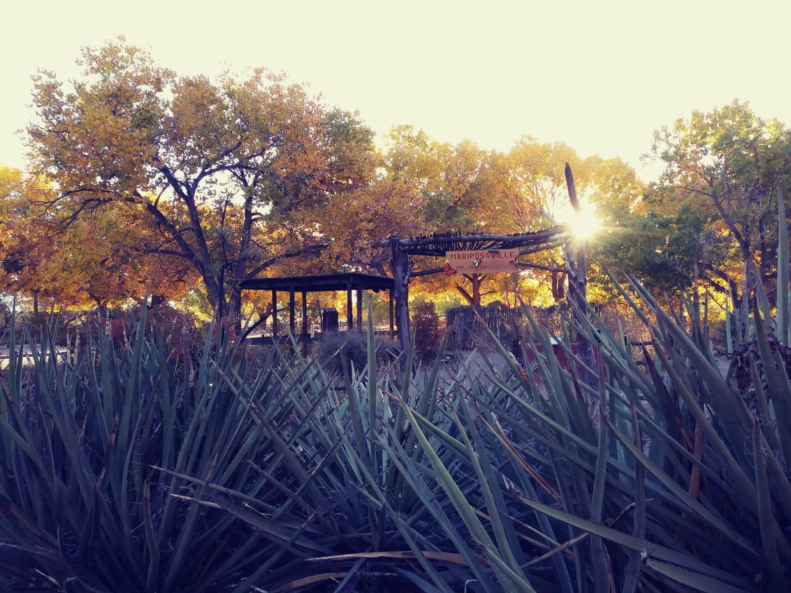 Facility Details - Rio Grande Nature Center, NM - New Mexico State Parks